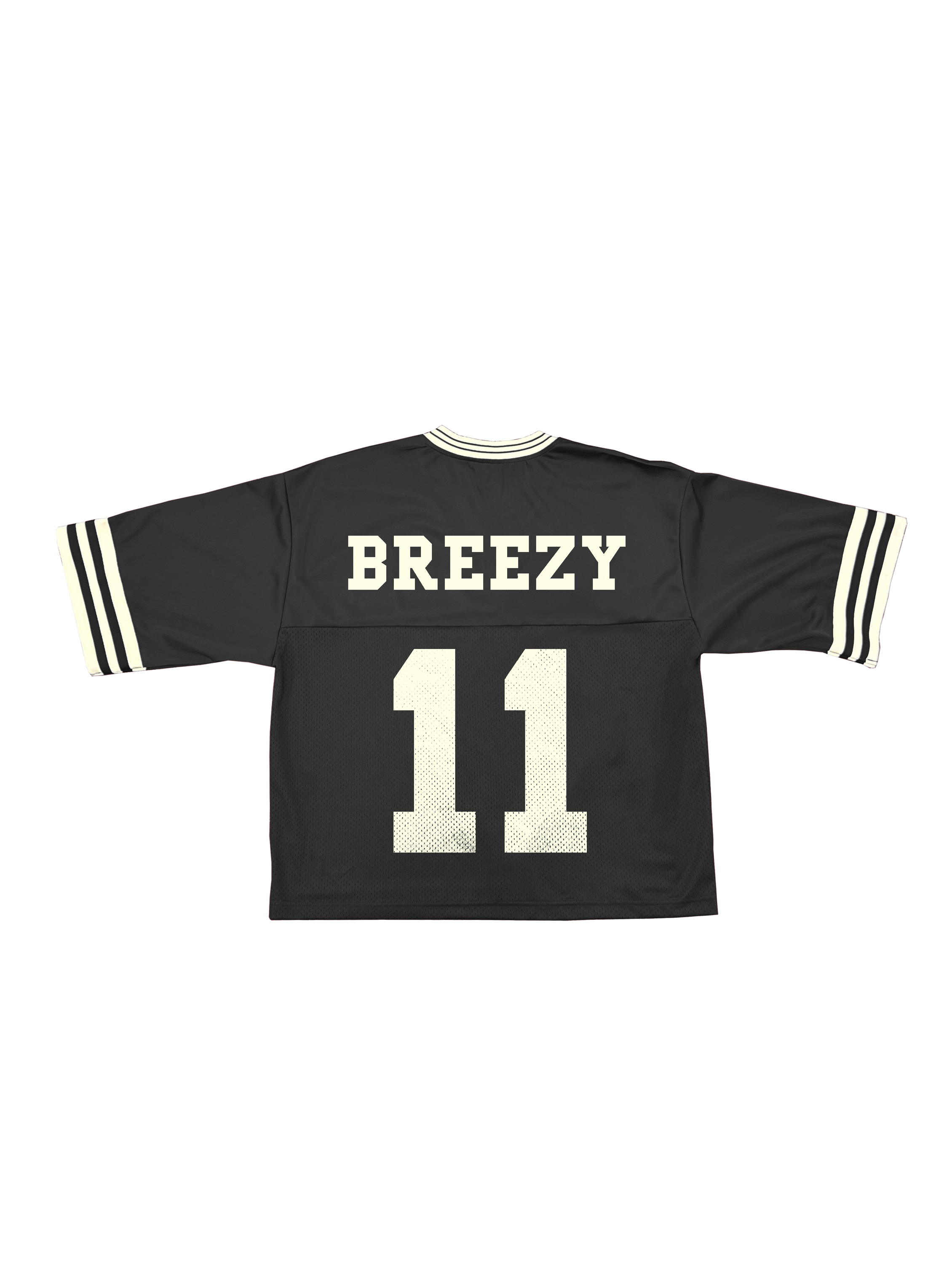 Offical merchandise shop of Chris Brown – TEAM BREEZY OFFICIAL